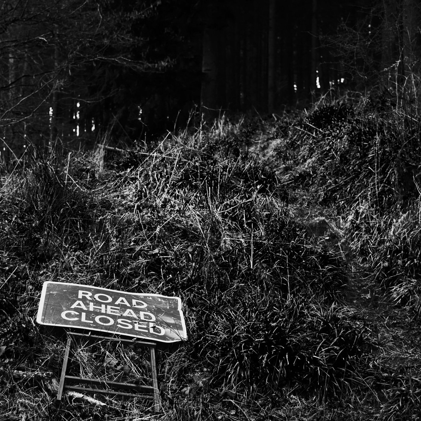 Michael Martin Photography